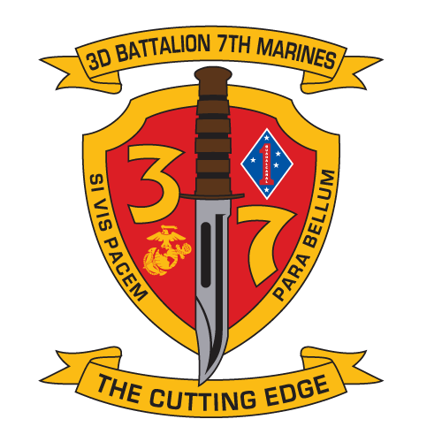3rd Battalion 7th Marines (3/7) – Military Veteran Products