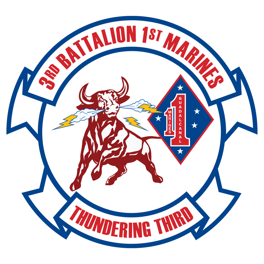3rd Battalion 1st Marines (3/1)